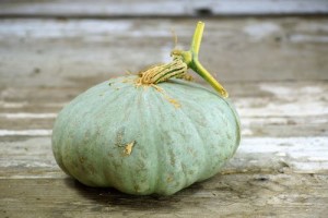 10 Unusual Edible Pumpkins