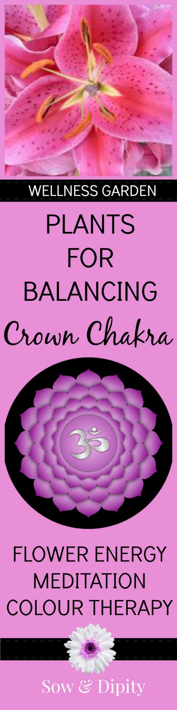 Plants to Balance the Crown Chakra