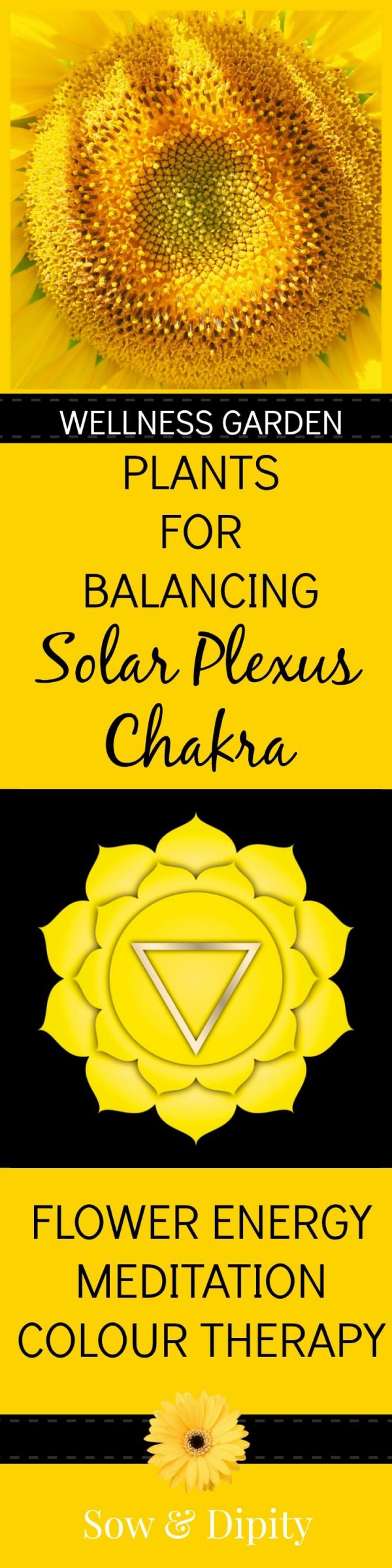 Plants to Balance the Solar Plexus Chakra